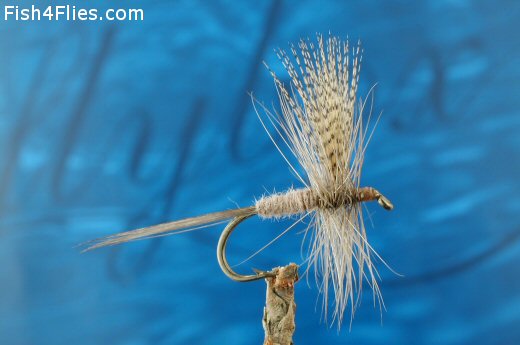 Light Hendrickson Fly - Fishing Flies with Fish4Flies Worldwide